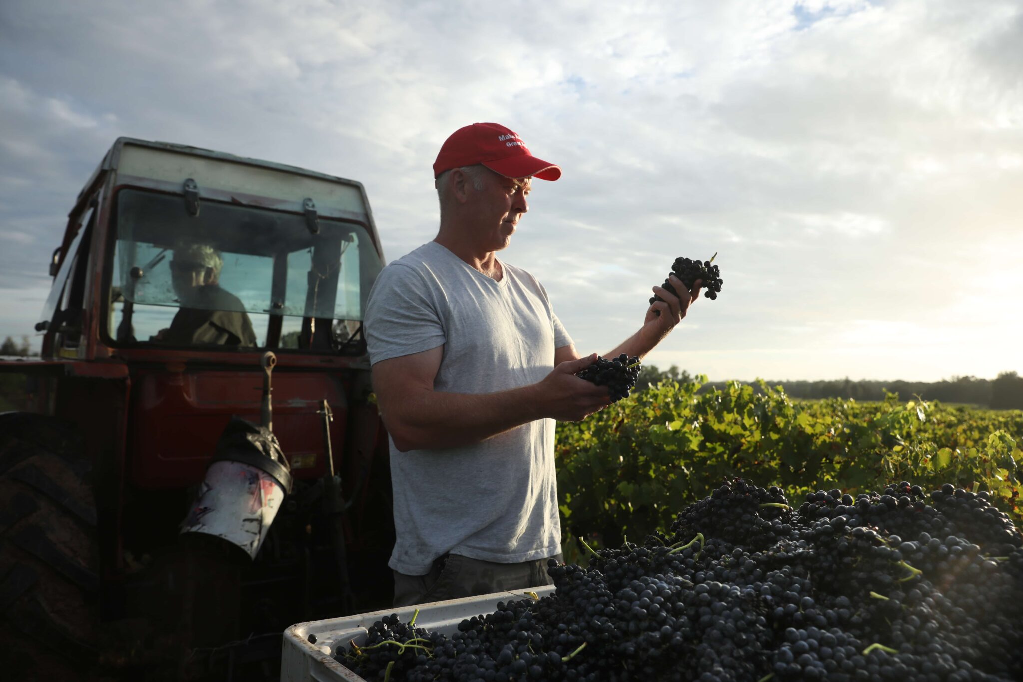 Hunter Valley wine region: The home of Semillon and Shiraz - Wine Valet