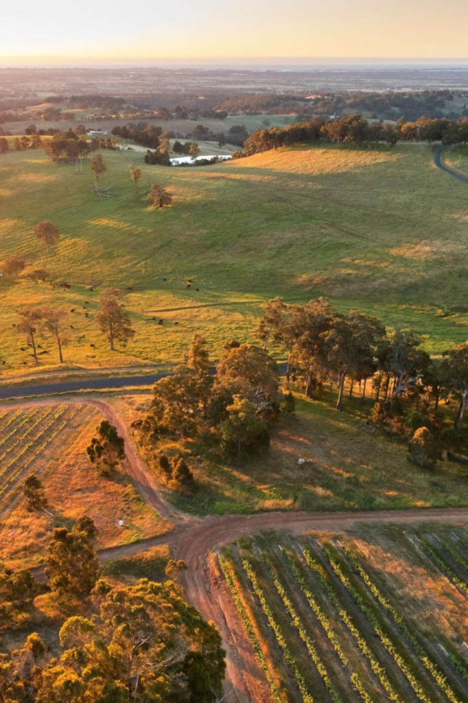 Your Guide to the Geographe Wine Region - Wine Valet